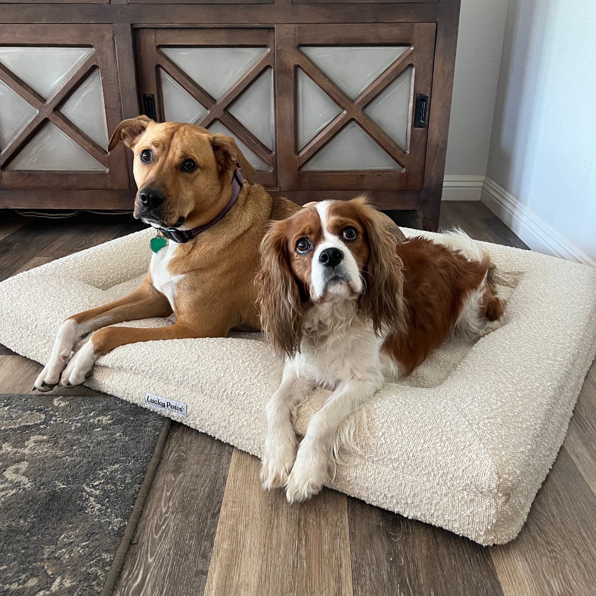 Bouclé Orthopedic Memory Foam Dog Bed Premium Bouclé Fabric Lucky Paws